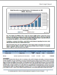 Client Insight Sample Report